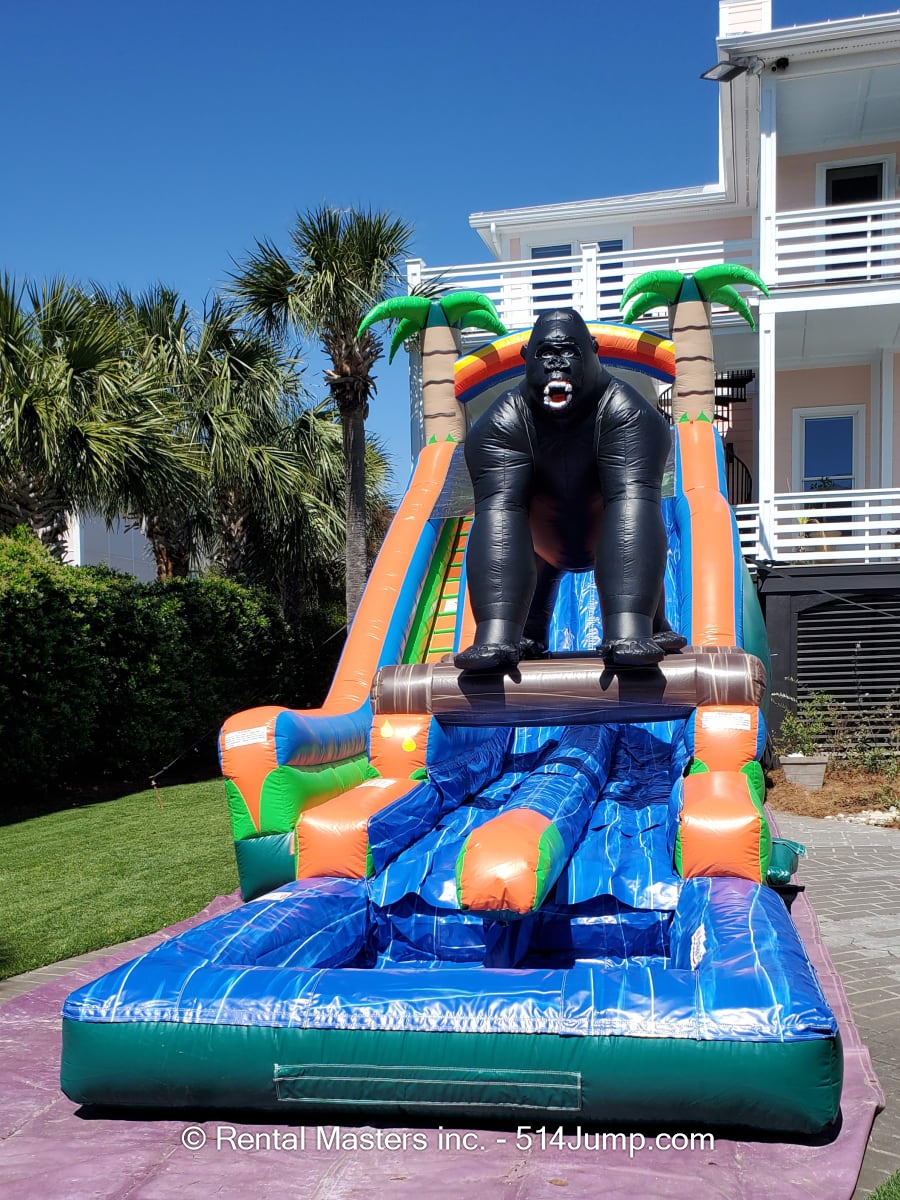 Water Slide rentals - Water Slide Rentals, Bounce House Rentals ...